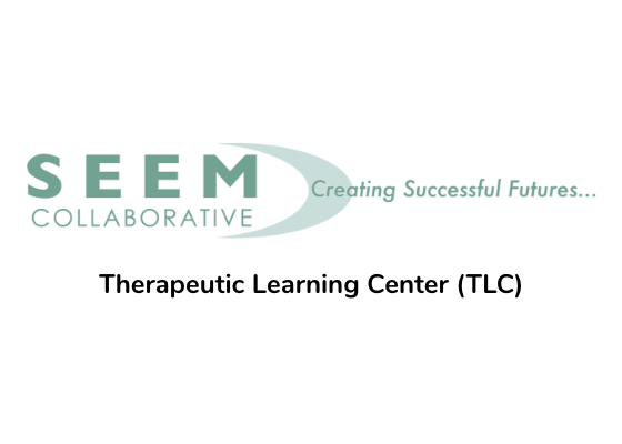 Program Features – Curriculum – Therapeutic Learning Center (TLC)